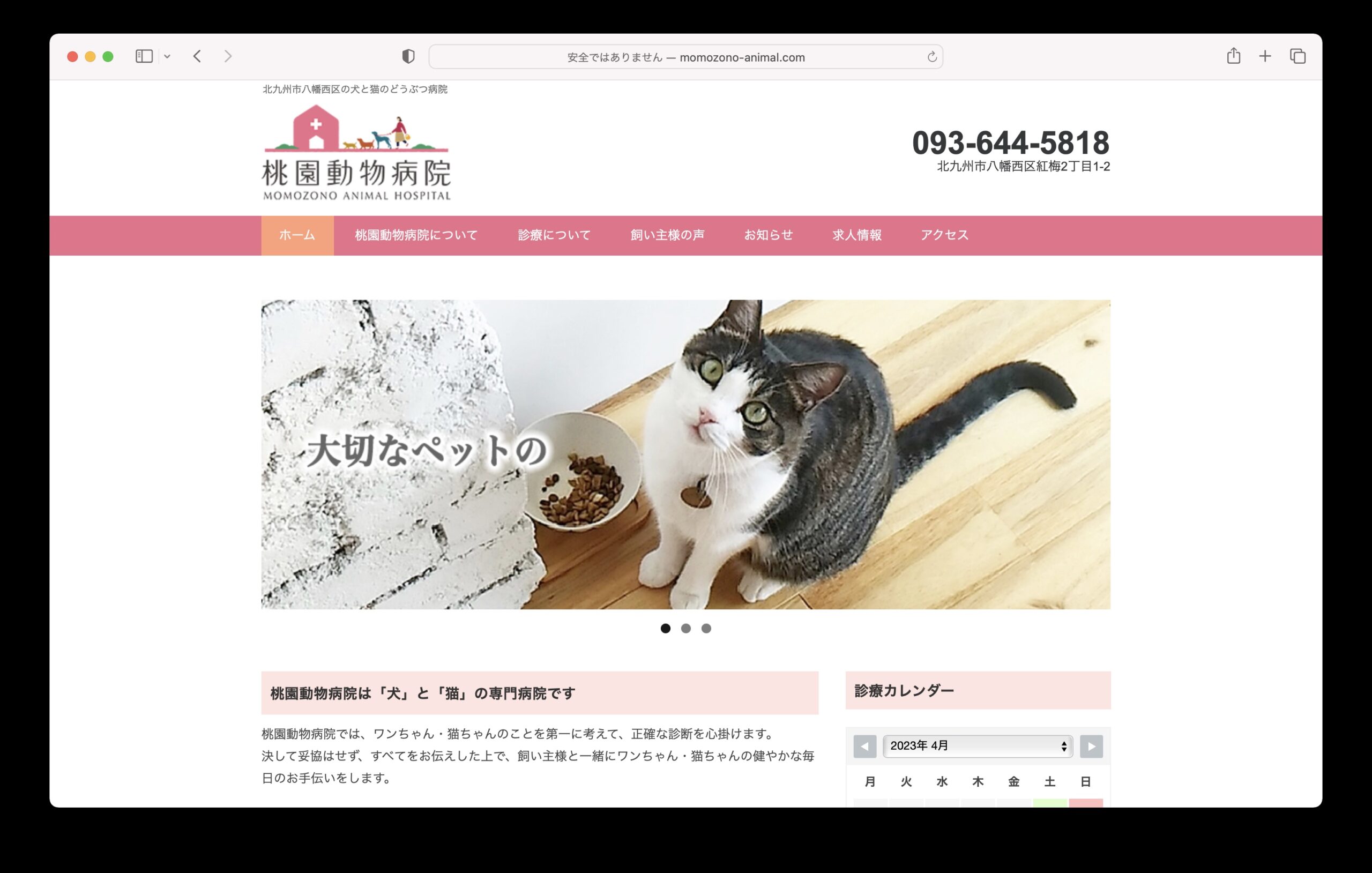 WPテーマWhite Studio事例｜北九州市のどうぶつ病院のホームページ | シンプルでおしゃれなWordPressテーマ Minimal WP